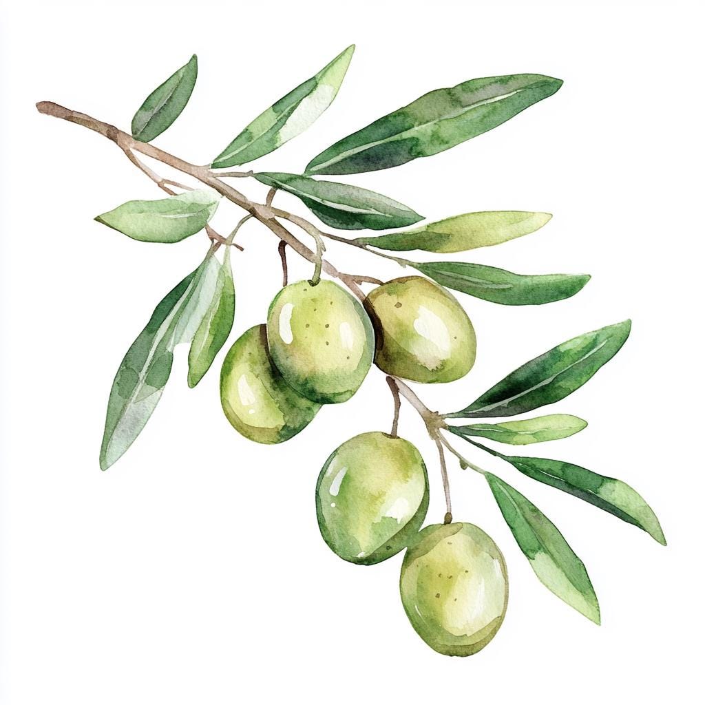 10 Printable Olive Branch, Gren Olives Art, Green Leaves Decor ...