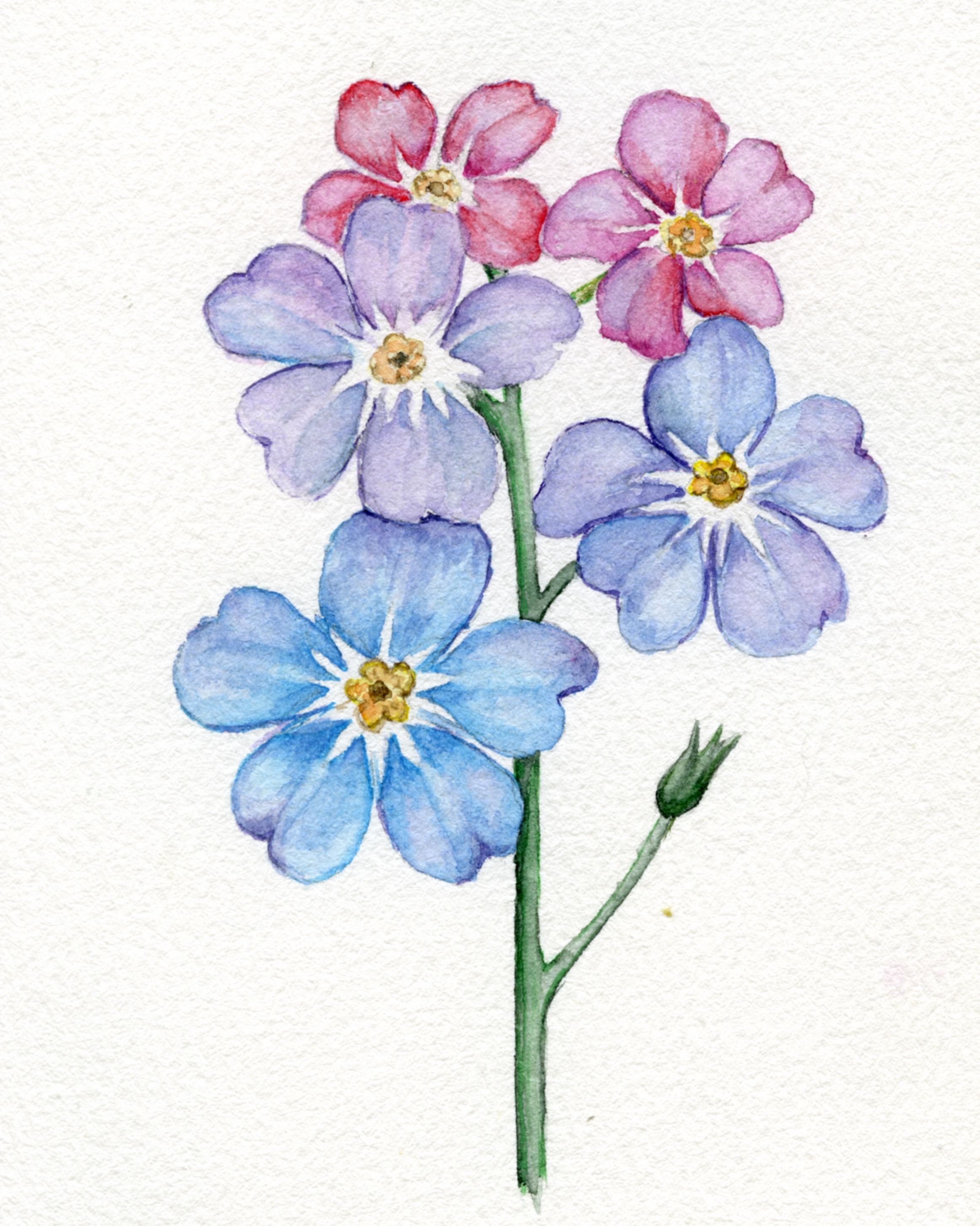 Printable forget me not flower Digital download watercolor | Etsy