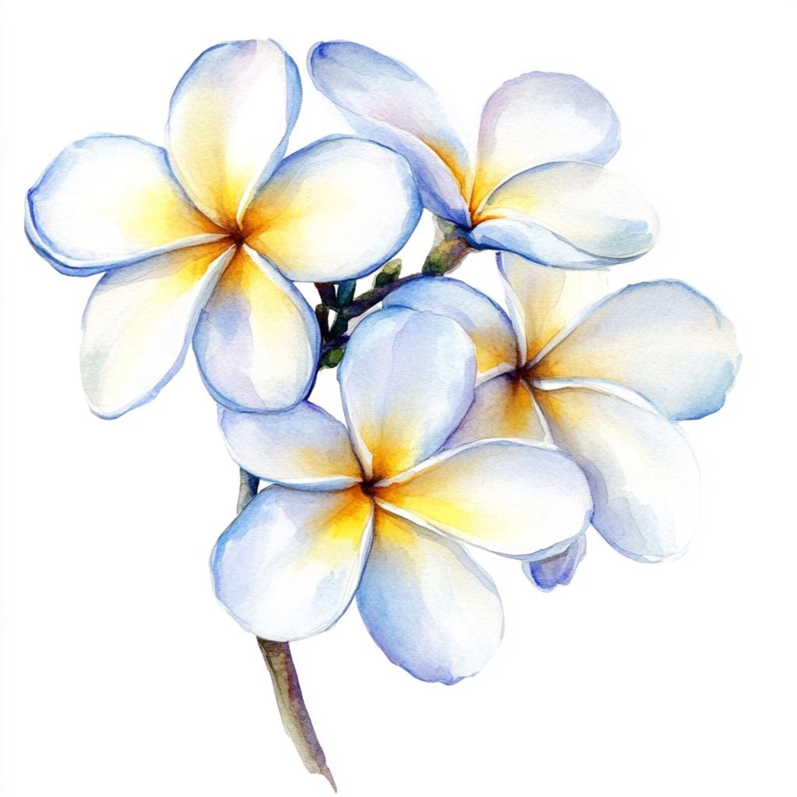 10 Printable Frangipani Flower, White Frangipani Art, White Frangipani ...