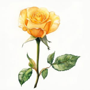 10 Printable Rose Flower, Yellow Roses Art, Yellow Roses Jpgs, Summer ...