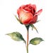 10 Printable Rose Flower, Red Roses Art, Red Roses Jpgs, Summer Wedding ...