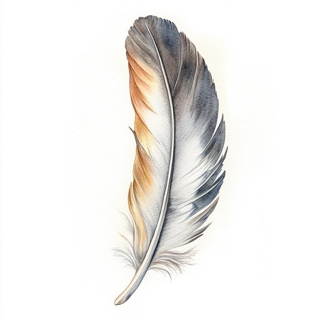 10 Printable Avian Feather Clipart, Bird Feathers Art, Watercolor Art ...