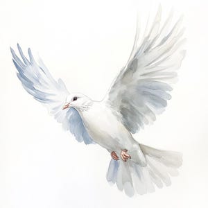 10 Printable Dove Art, Dove Watercolor Clipart, High Quality PNG JPG ...