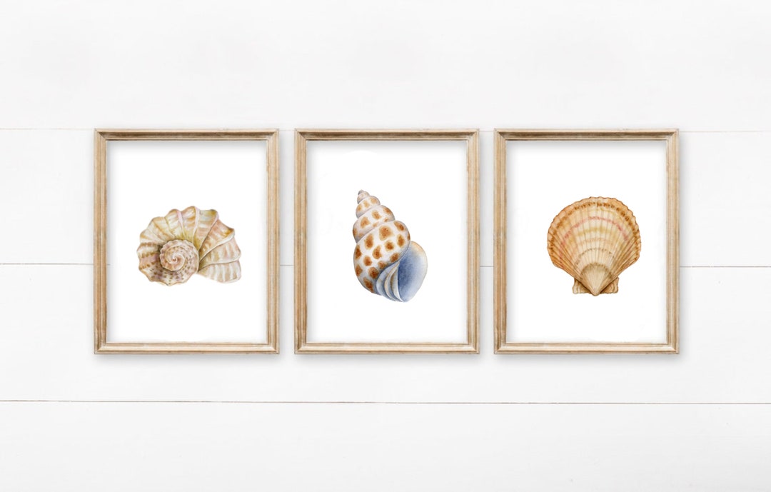 Digital Nautical Art, Set of 3, Seashell Watercolor Painting, DIY ...