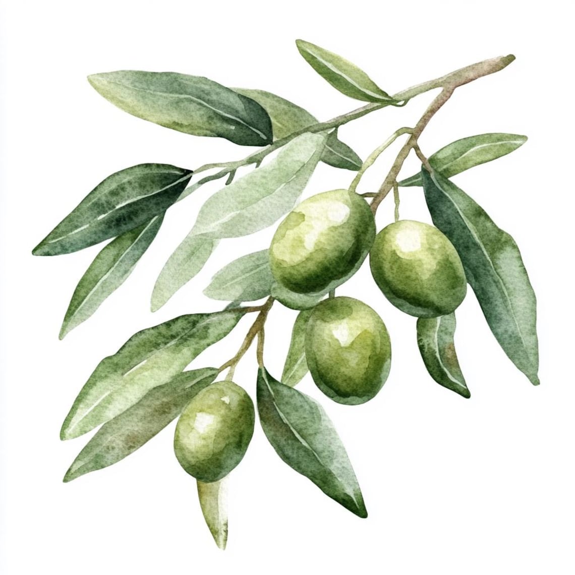 10 Printable Olive Branch, Gren Olives Art, Green Leaves Decor ...