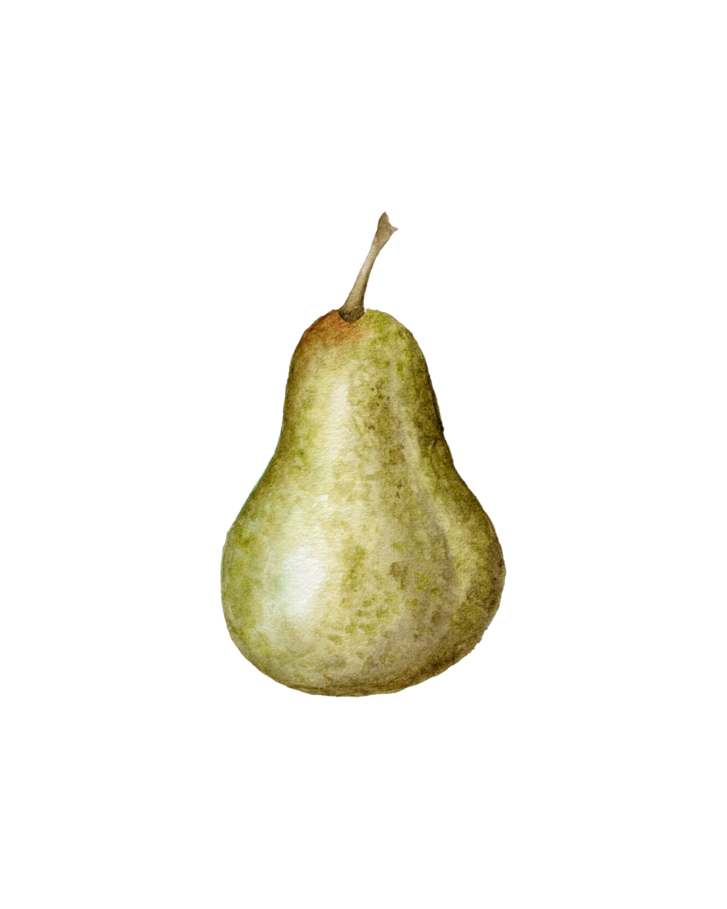 Printable Art Watercolor Pear Painting, Yellow Perry DIY Print ...