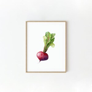 Printable Botanical Beet Root Watercolor Painting, Beetroot Print ...