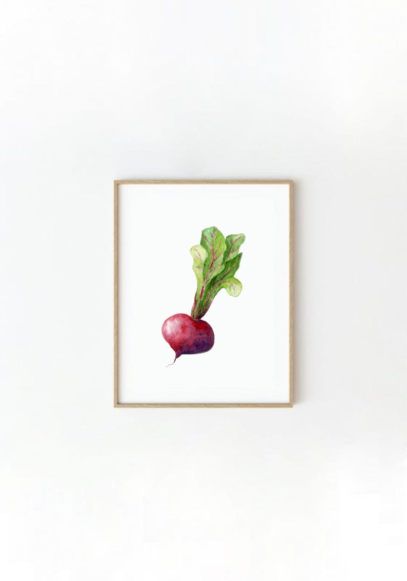 Printable Botanical Beet Root Watercolor Painting, Beetroot Print ...