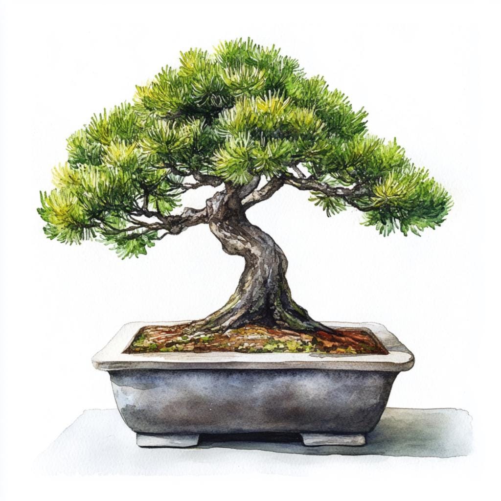 10 Printable Bonsai Tree, Bonsai Tree Print, Watercolor Tree in Pot ...