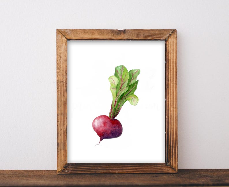 Printable Botanical Beet Root Watercolor Painting, Beetroot Print ...