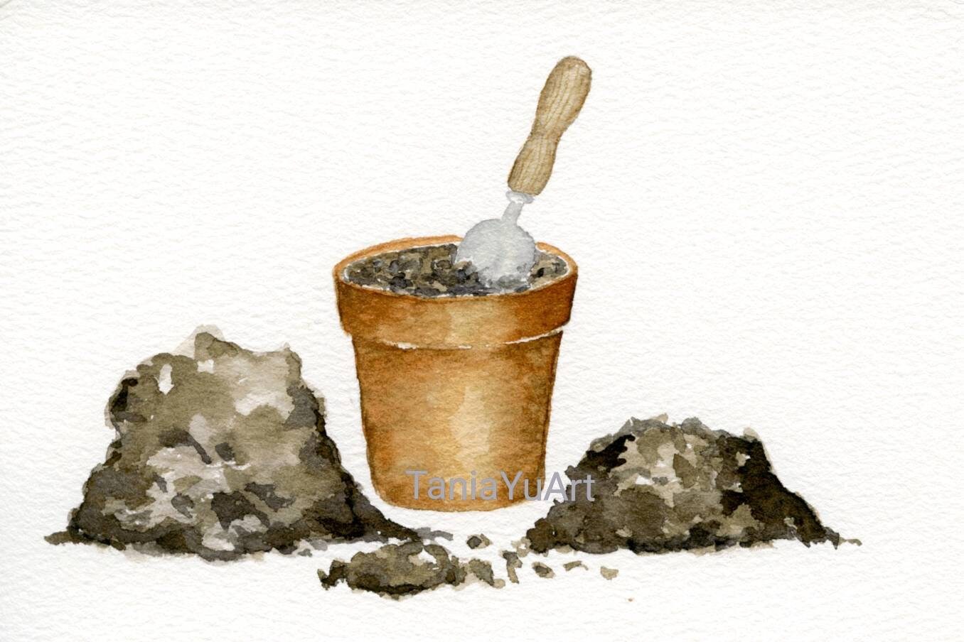Original Watercolor Painting soil in plant pot art gift | Etsy