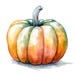 10 Printable Pumpkin, Boho Pumpkin Clipart, Autumn Art, Pumpkin PNG ...