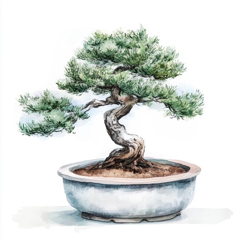 10 Printable Bonsai Tree, Bonsai Tree Print, Watercolor Tree in Pot ...