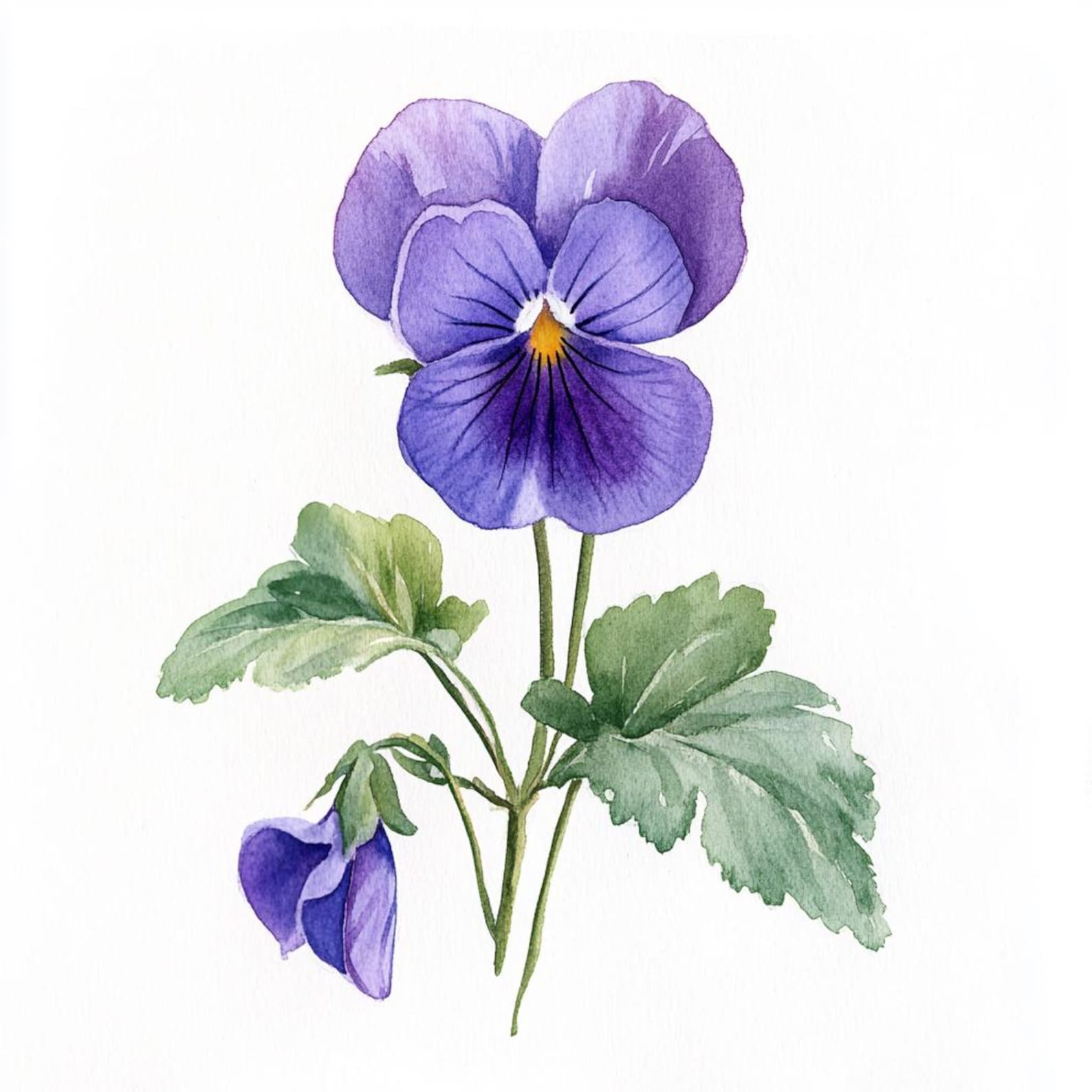 10 Printable Violet, Purple Flower, Spring Flowers, Violet PNG ...