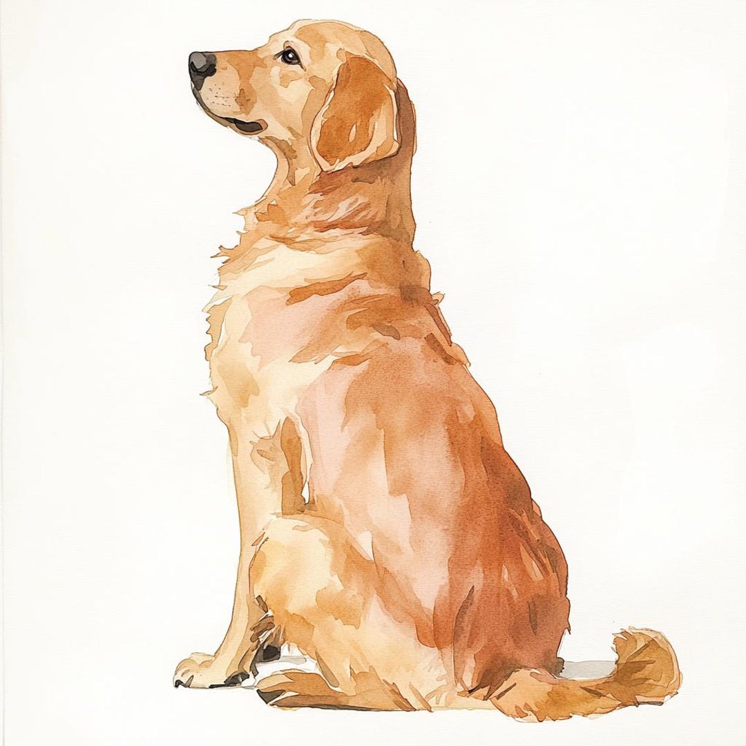 10 Labrador Sitting Back Retriever Clipart, Labrador Dog, Watercolor ...