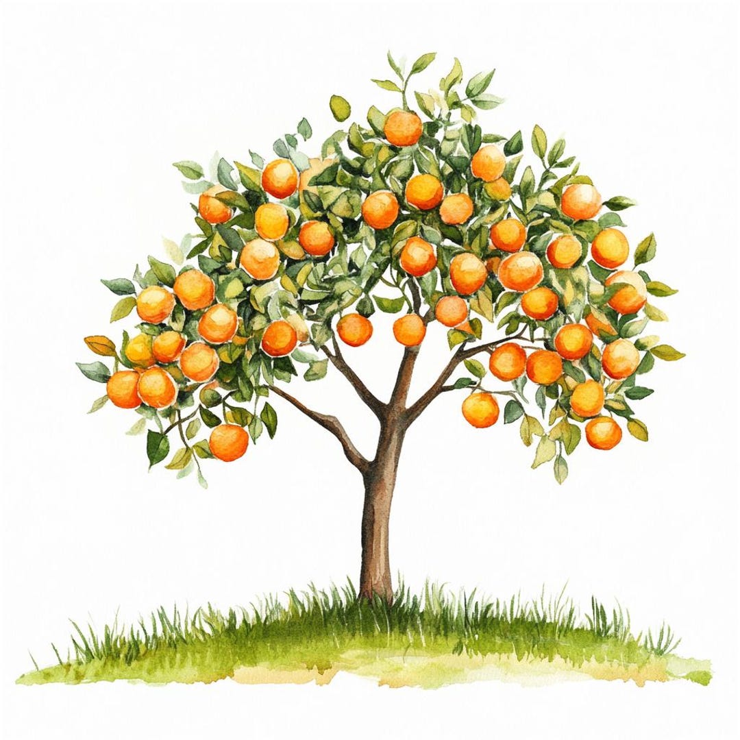10 Printable Orange Tree, Orange Tree Print, Watercolor Orange Trees ...