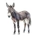 10 Printable Donkey, Donkey Clipart, Watercolor Art, Cute Farm Animal ...