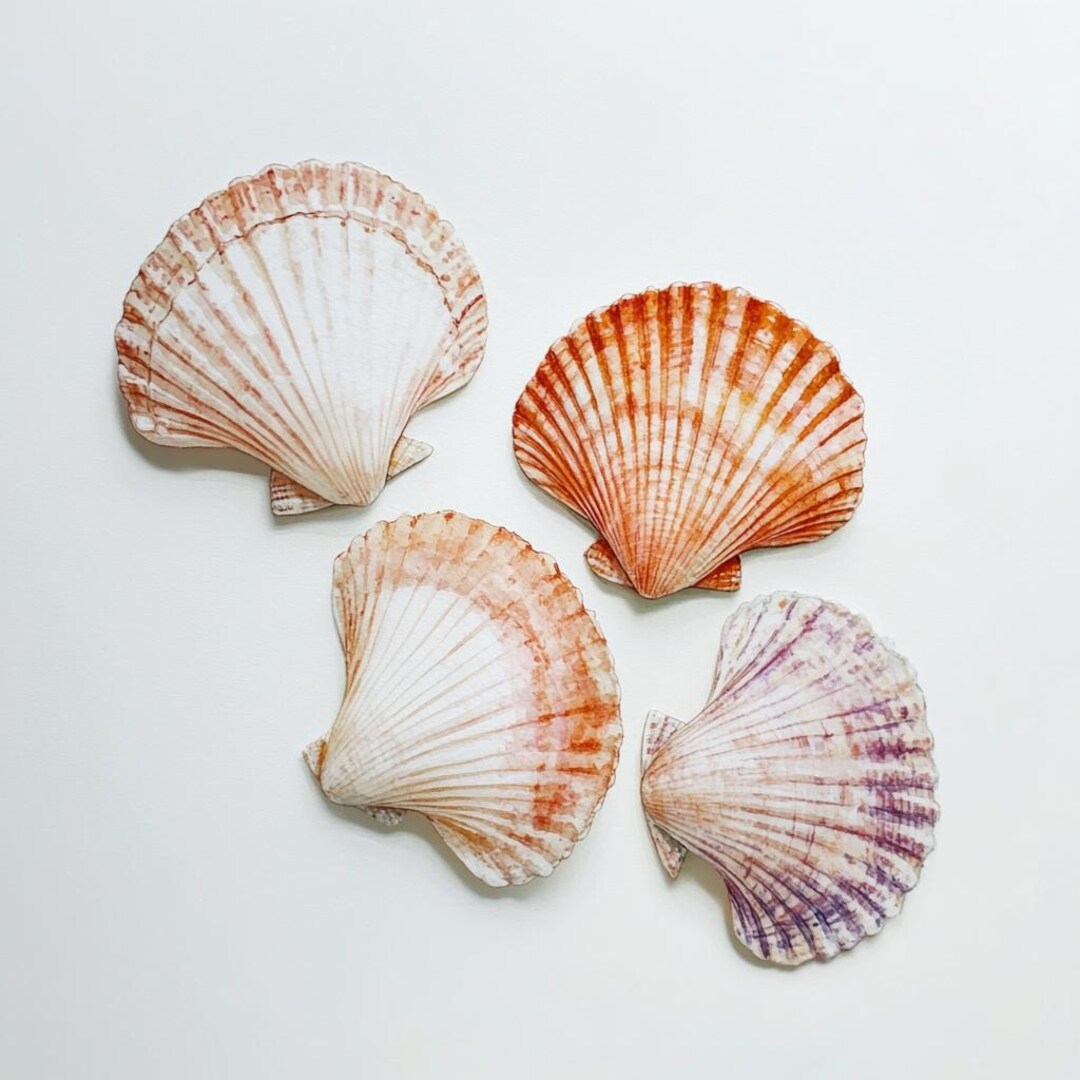 10 Printable Seashells, Nautical Art, Seashells Watercolor Clipart ...