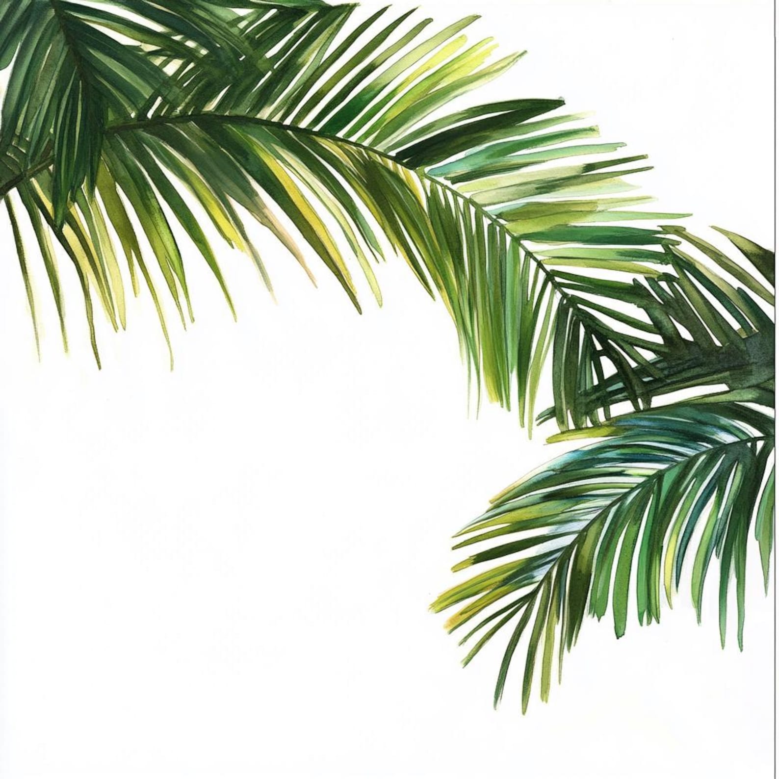 10 Printable Palm Leaves, Green Leaves Art, Watercolor Palm, Palm JPG, Digital Download Tropical ...