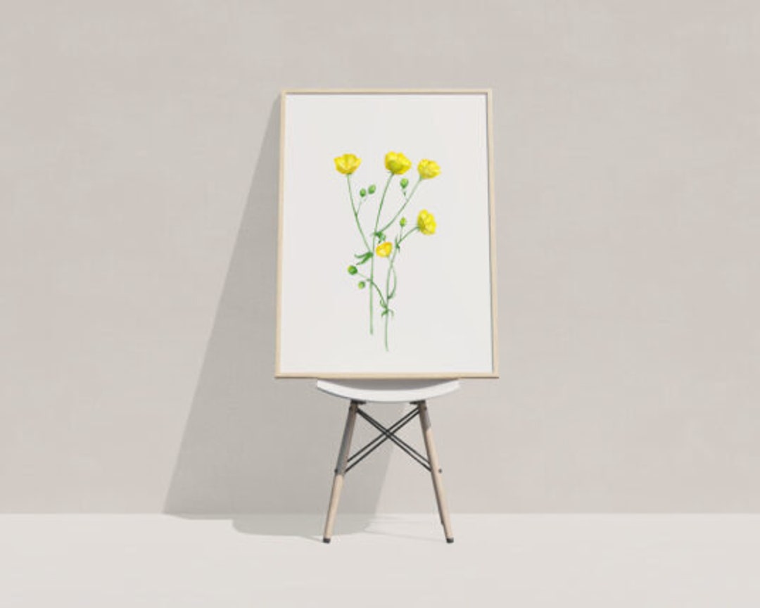 Digital Botanical Buttercup Watercolor Flowers DIY Print, Ptintable ...