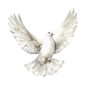 10 Printable Dove Art, Dove Watercolor Clipart, High Quality PNG JPG ...