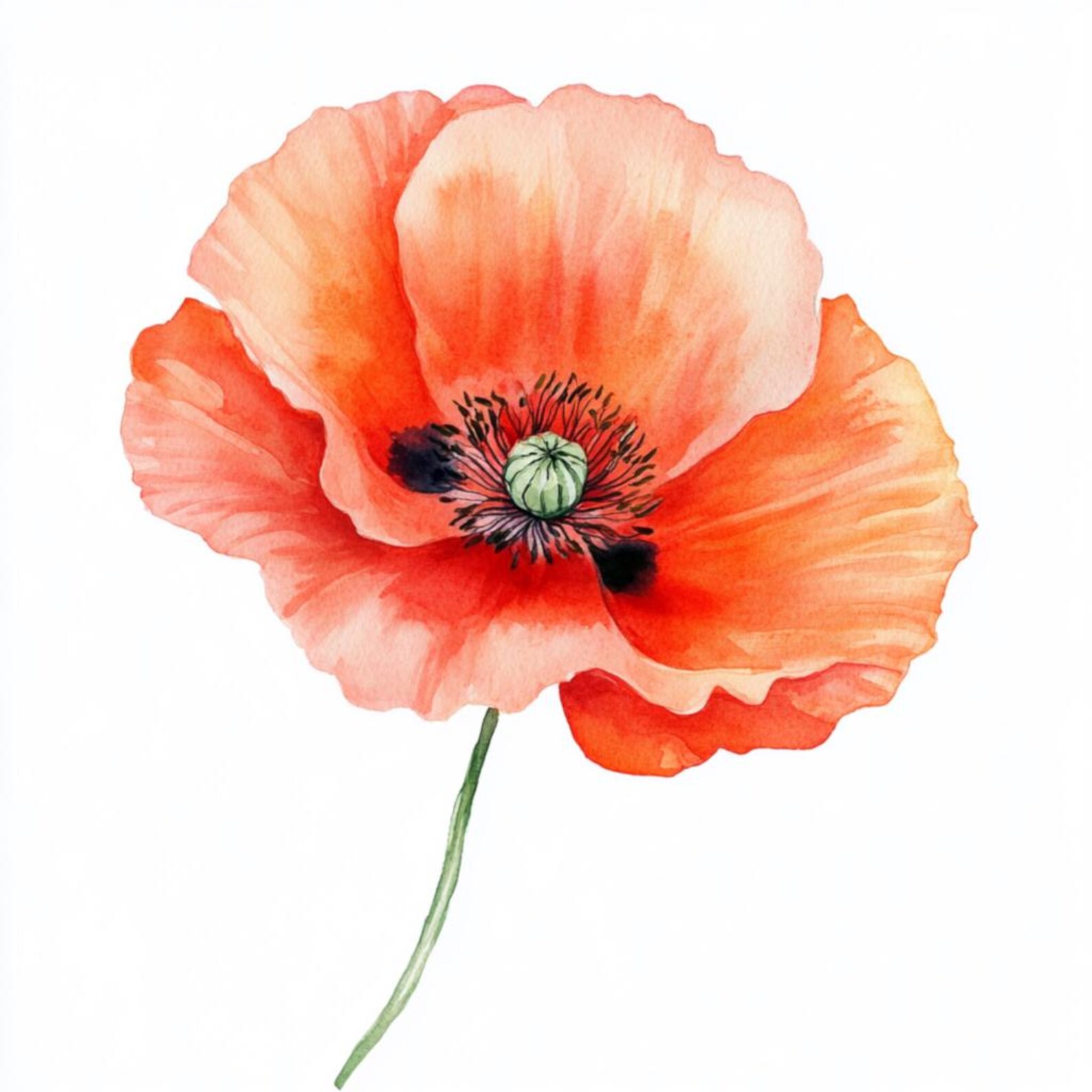 10 Printable Poppy Flower, Red Poppies Art, Watercolor Poppy , Summer ...