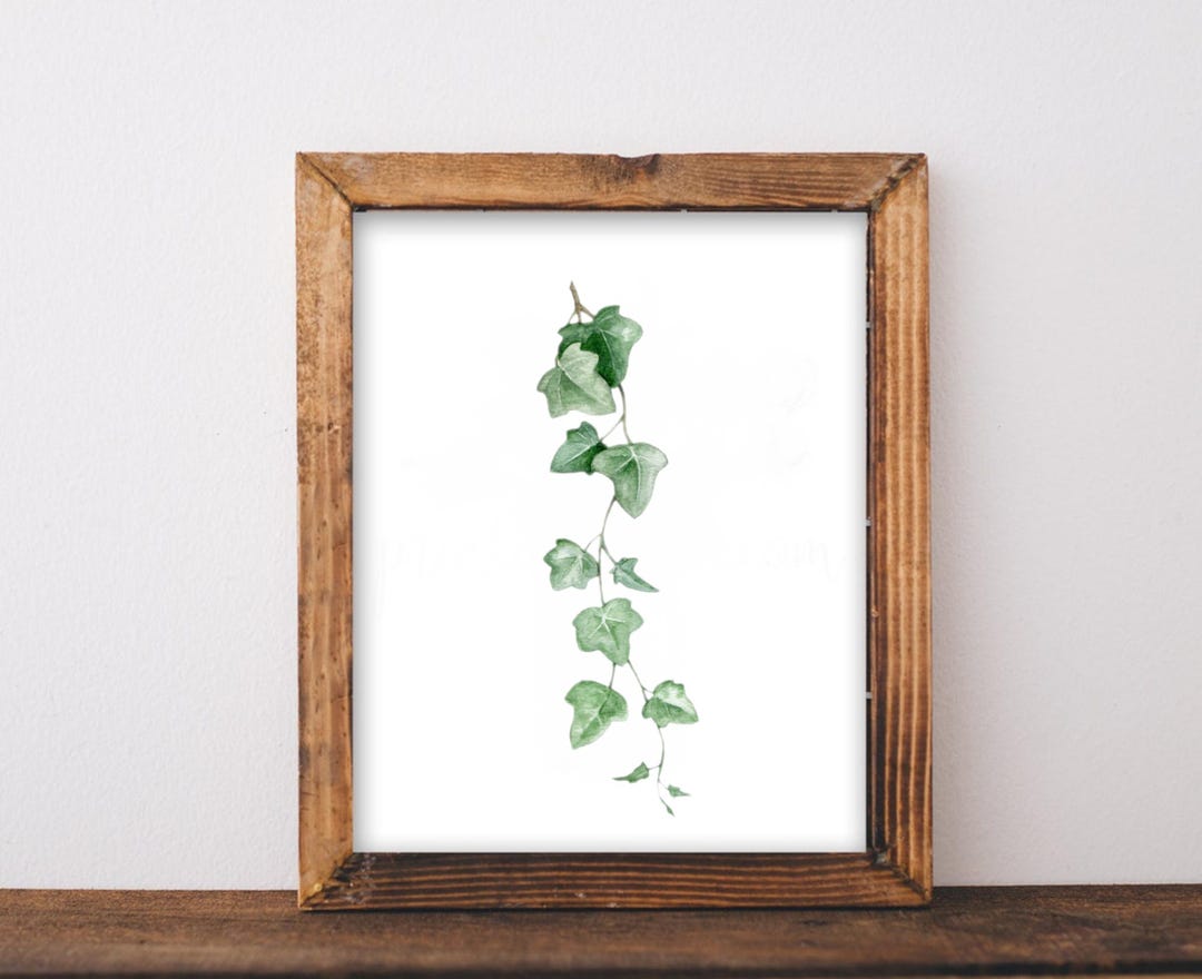 Digital Botanical English Ivy Branch Painting, Timeless Elegance for ...