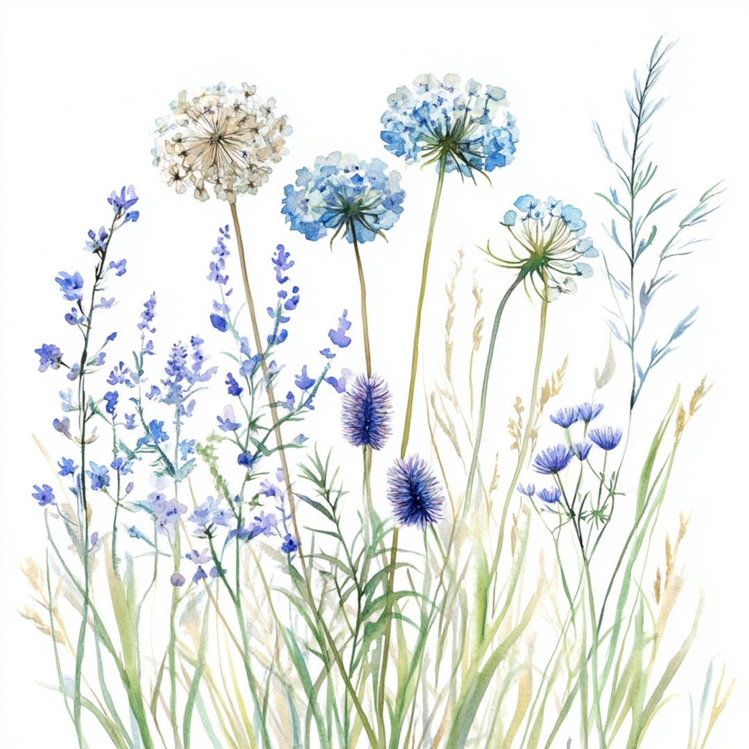 10 Printable Summer Wildeflowers Atr, Watercolor Blue and White Flowers ...