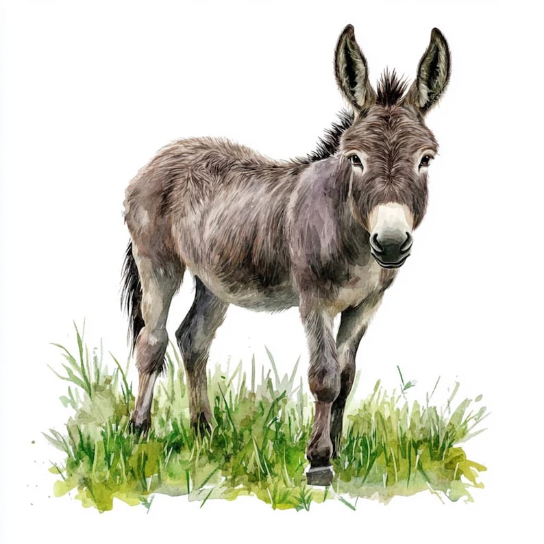 10 Printable Donkey, Donkey Clipart, Watercolor Art, Cute Farm Animal ...
