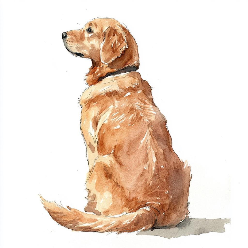 10 Labrador Sitting Back Retriever Clipart, Labrador Dog, Watercolor ...