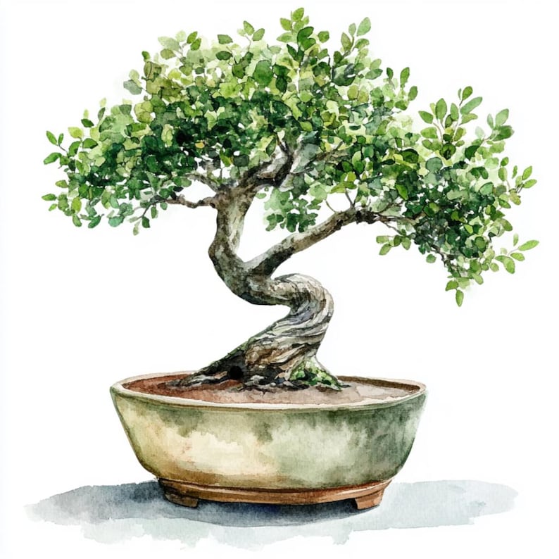 10 Printable Bonsai Tree, Bonsai Tree Print, Watercolor Tree in Pot ...