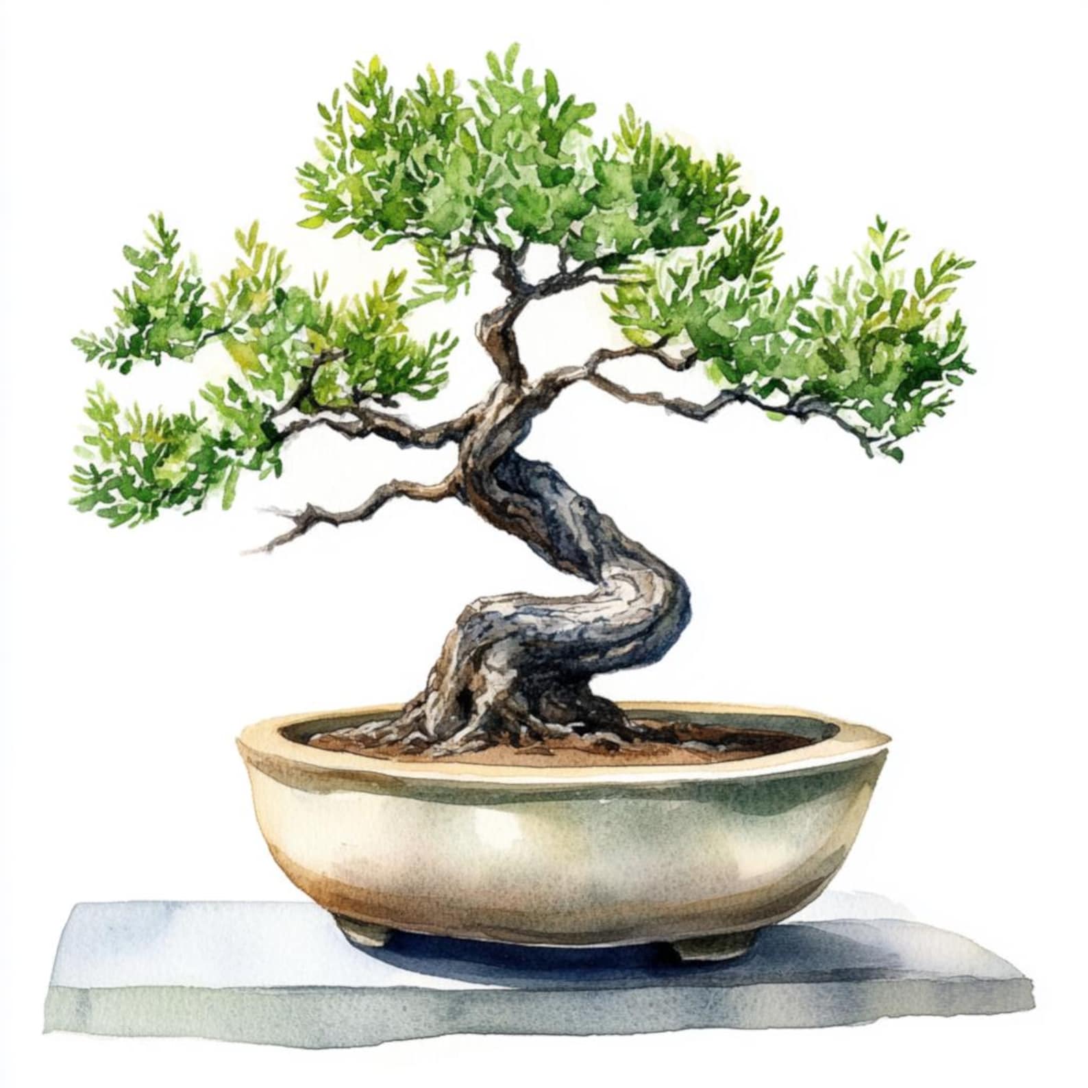 10 Printable Bonsai Tree, Bonsai Tree Print, Watercolor Tree in Pot ...