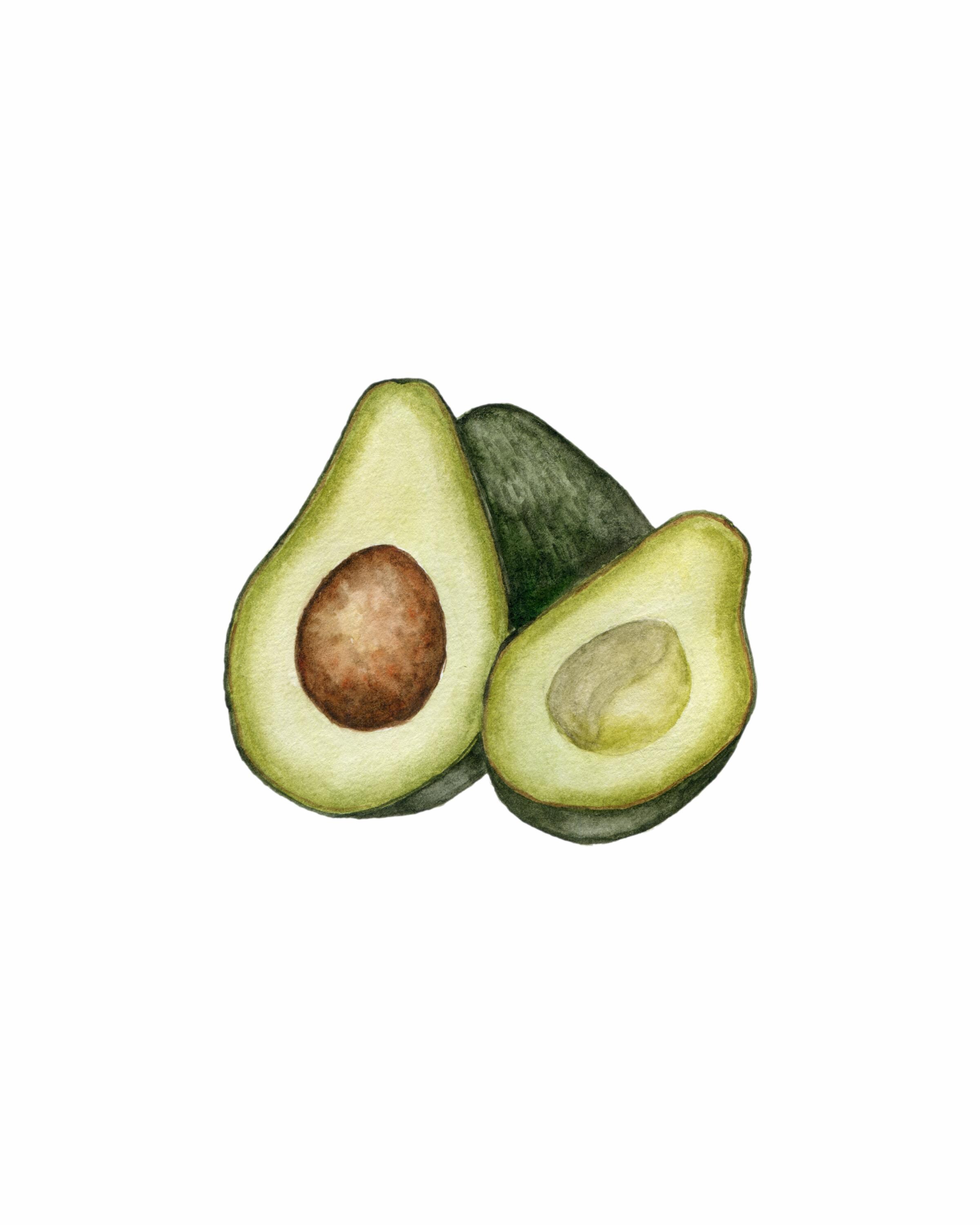 Avocado Watercolor Printable, Instant Download, Avocado Art, Kitchen ...