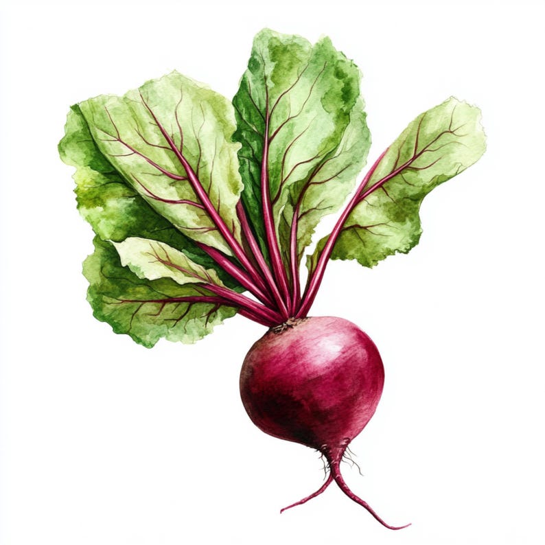 10 Printable Beets, Vegetables Art, Beets Root Print, Watercolor Food ...