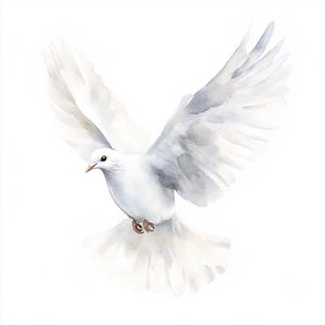 10 Printable Dove Art, Dove Watercolor Clipart, High Quality PNG JPG ...