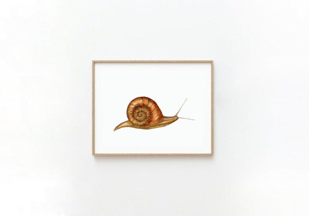 Printable Snail, Digital Watercolor Snail, Cutie Pic, DIY Print ...