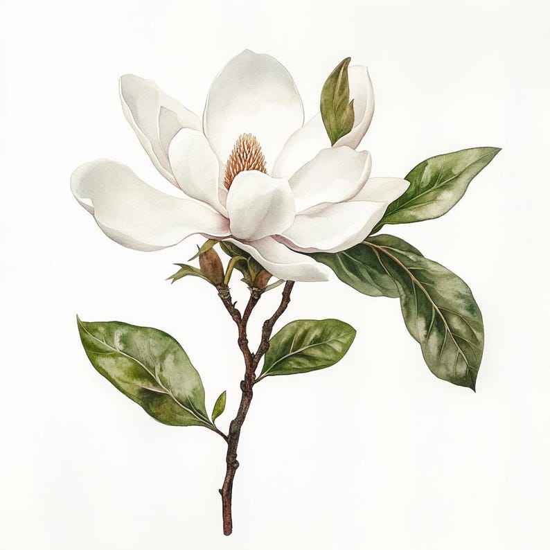 10 Printable Magnolia Flower, White Magnolia Art, White Magnolia Branch ...