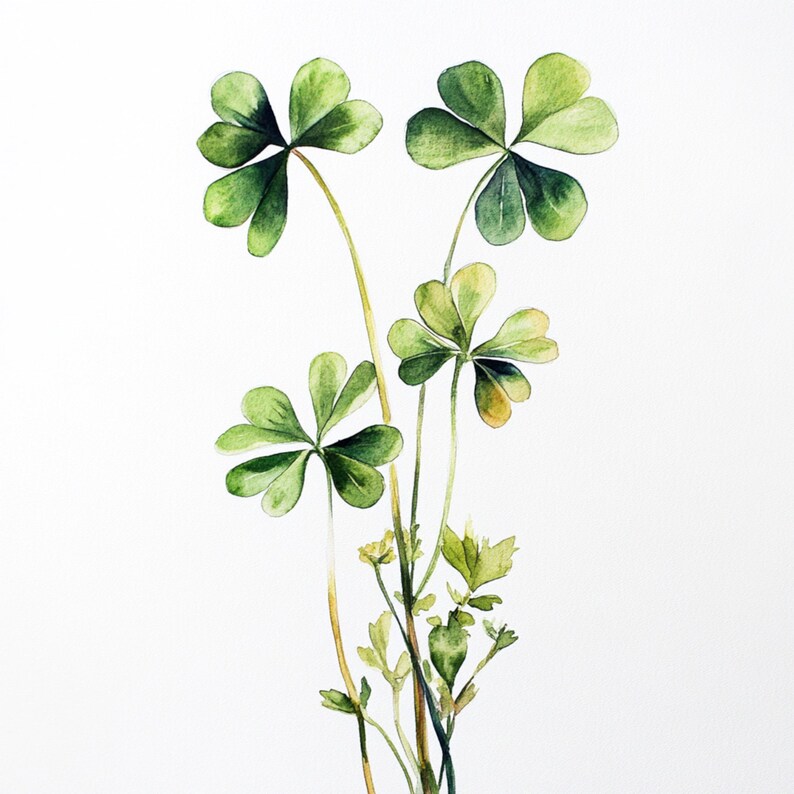 10 Printable Clover, Watercolor Clover Leaves Art, Meadow Grass, High ...
