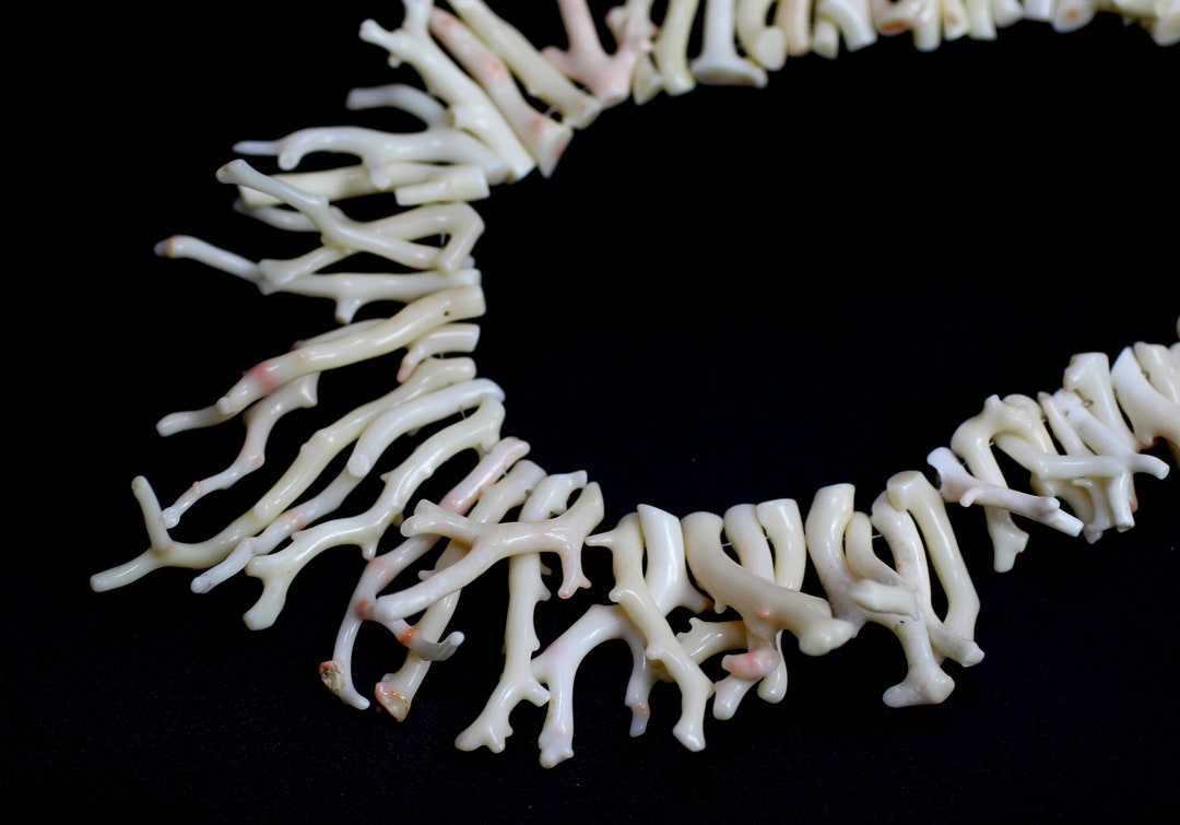 Japanese Coral Smooth Stick Shape Beads Natural White Coral - Etsy