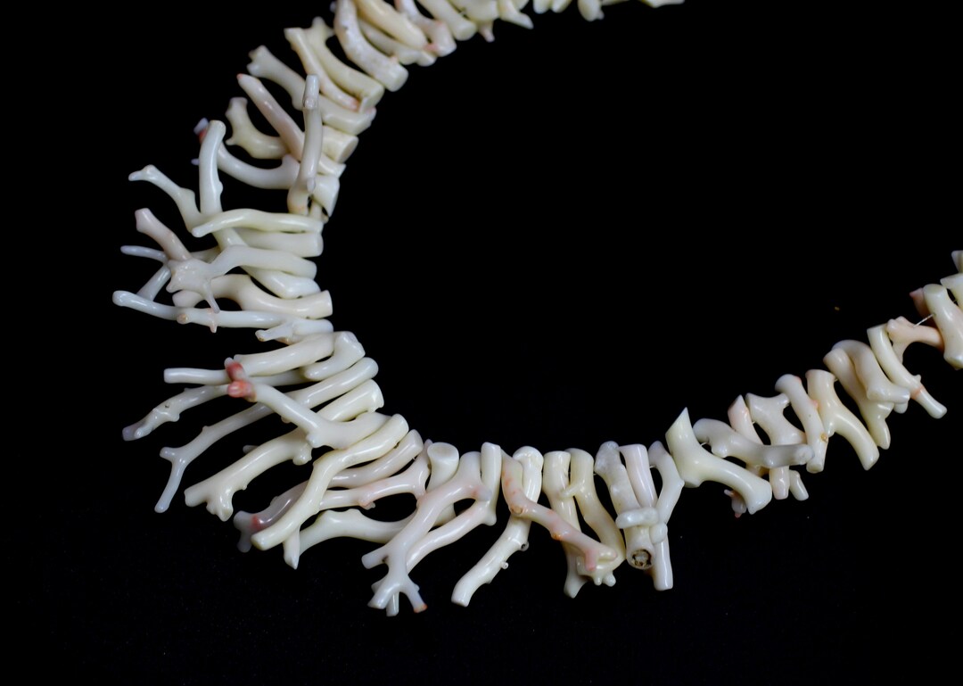 Japanese Coral Smooth Stick Shape Beads Natural White Coral - Etsy