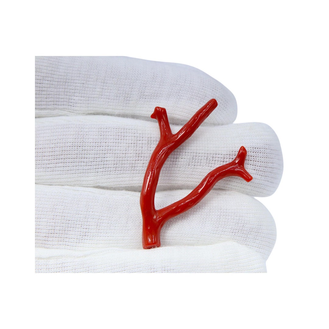 Italian Red Coral Stick: Mediterranean Sea Jewelry Making Pendant - Etsy