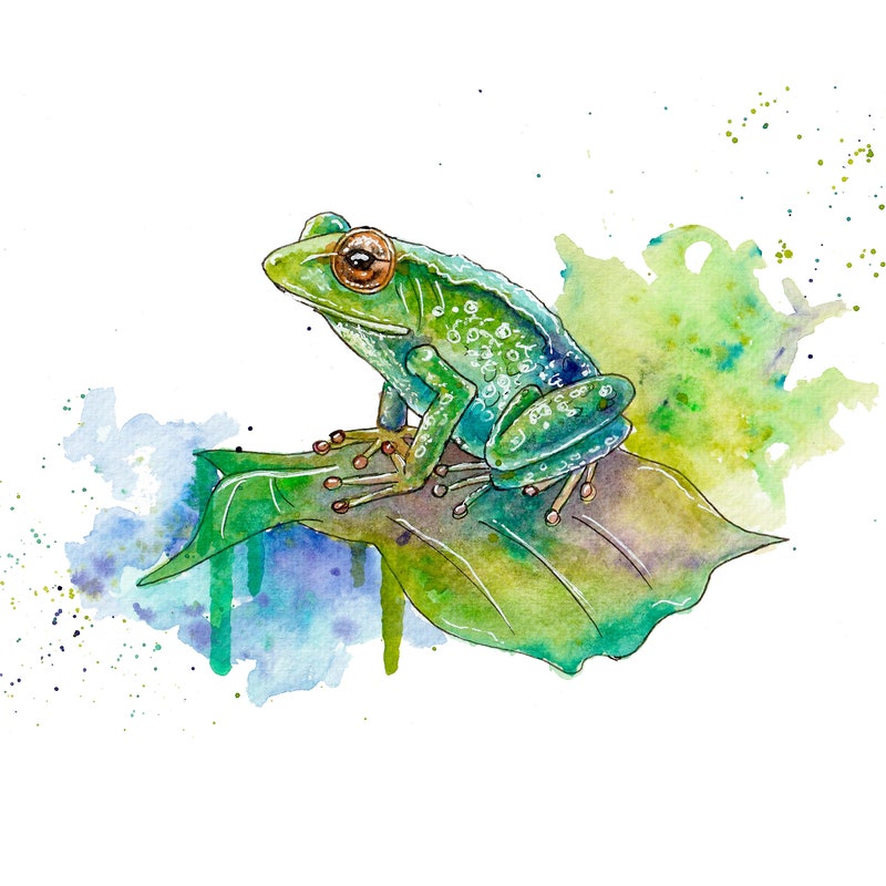 Watercolor Frog - Etsy