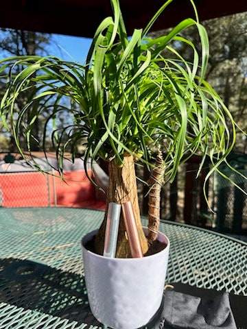 Rods of Maat (egyptian Pharaoh Rods) Aka Zinc & Copper Harmonizers ...