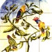 Tile Mural, Hand Painted, Handmade. Landscape, Still Life, Parrots ...