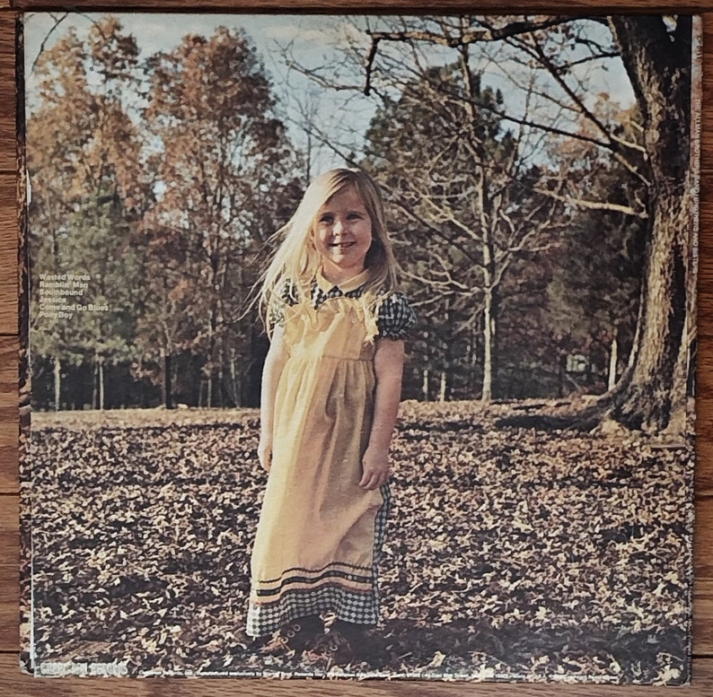 Allman Brothers - Brothers and Sisters - 1973 Gatefold Vinyl Album - Etsy