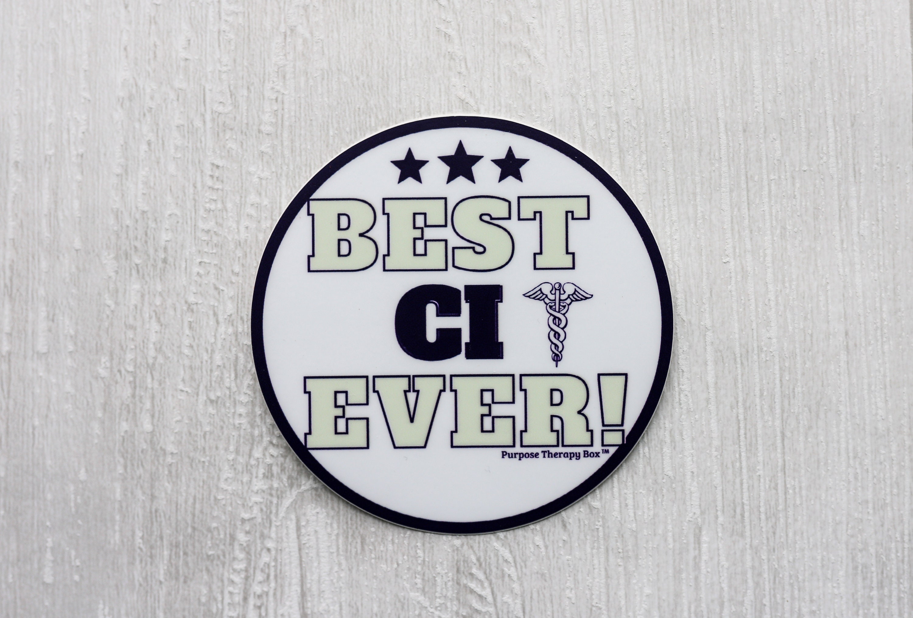 Best Clinical Instructor Ever Sticker, Best C.I. Ever - Etsy