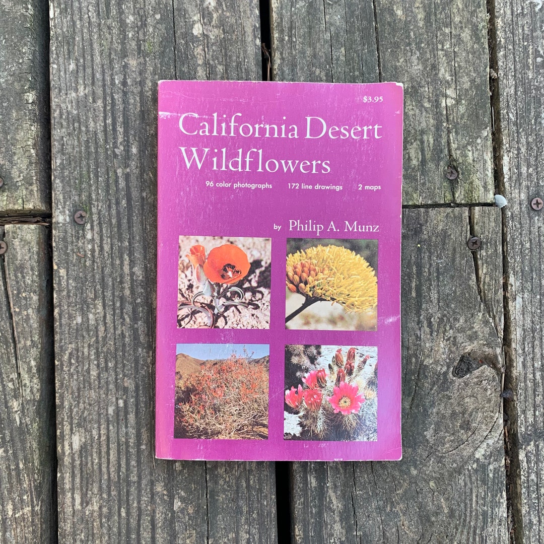 Vintage California Desert Wildflowers Book - Etsy
