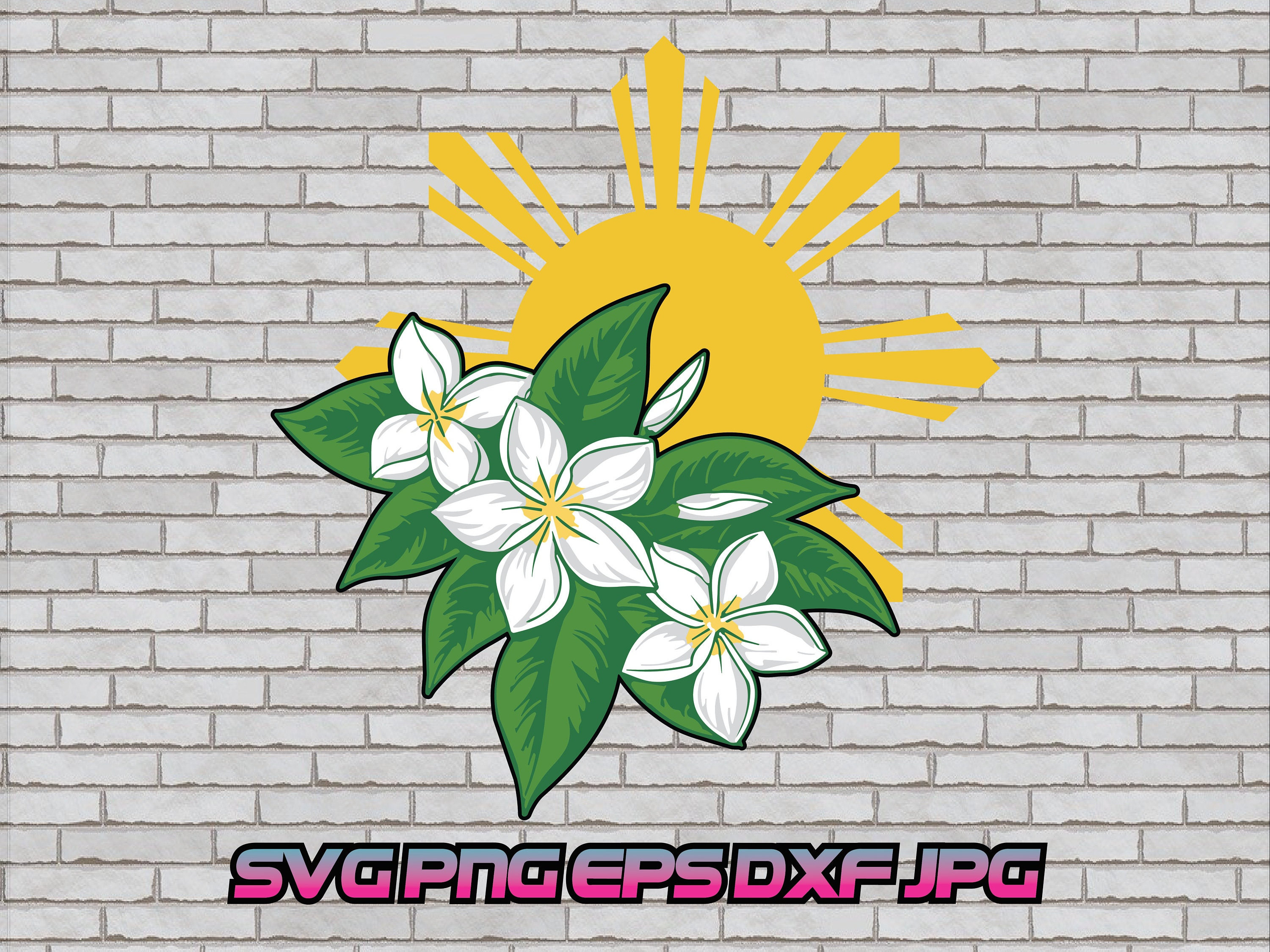 Filipino Flower Svg, Sampaguita Png, Jasminum Sambac, Philippines Svg ...