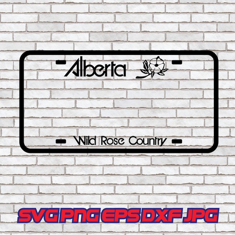 Personalised License Plate Transfer - Etsy UK