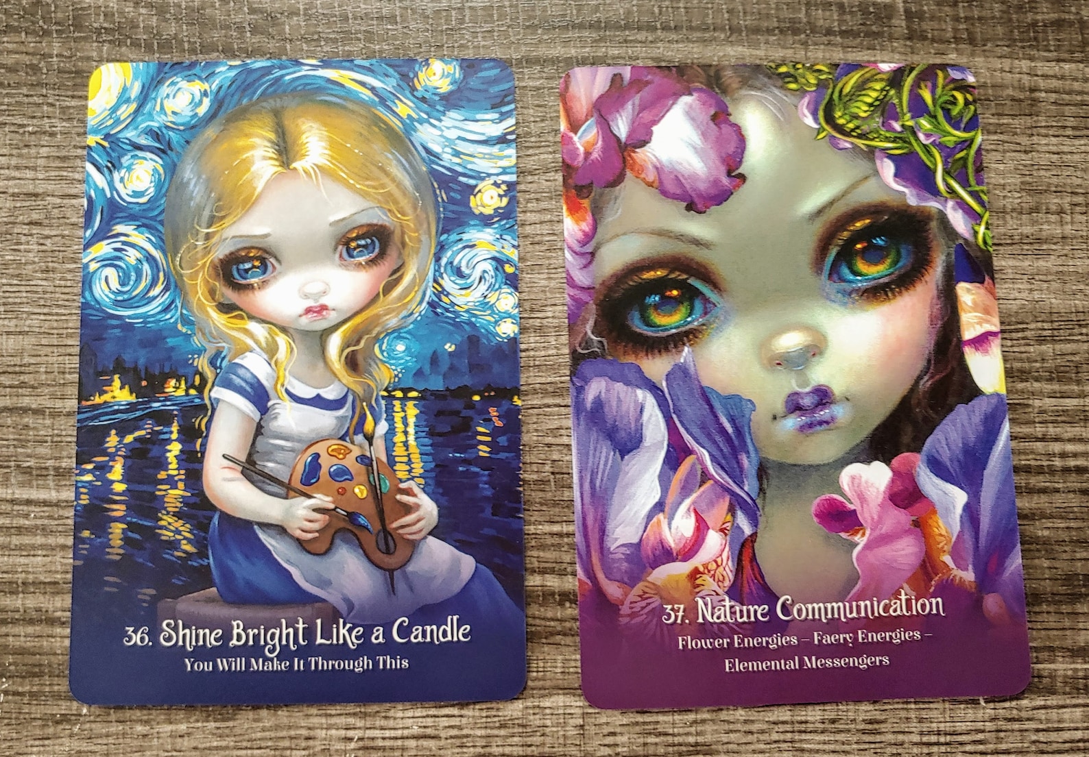 Alice in Wonderland Oracle Boxed Kit I New Boxed Deck and | Etsy